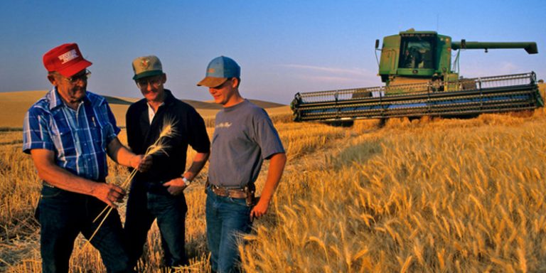 Leadership Lessons From the Farm | Leadership | Performance